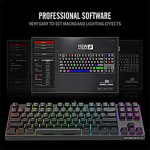 1ST PLAYER TKL RGB Gaming Mechanical USB Wired Keyboard DK5.0 LITE with Cherry MX Blue Switches Equivalent, Compact 87 Keys Tenkeyless LED RGB Backlit Computer Laptop Keyboard for Windows PC Gamers