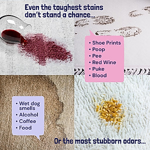 Sunny & Honey Carpet Miracle - Carpet Cleaner (32 Fl Oz (Pack of 1), Light Lavender Scent)