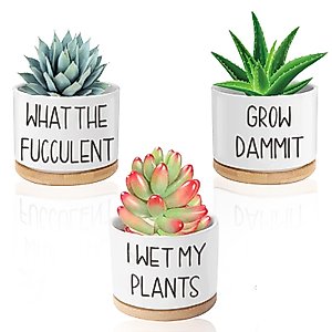 Funny Succulent Pots, 3.15 inch Ceramic Flower Plant Pots with Bamboo Tray, Cute Cactus Planters with Drainage Hole, Birthday Gifts for Women, Plant Lover Gifts, Pack of 3 - Plants Not Included
