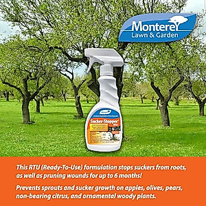 Monteray Sucker Stopper RTU