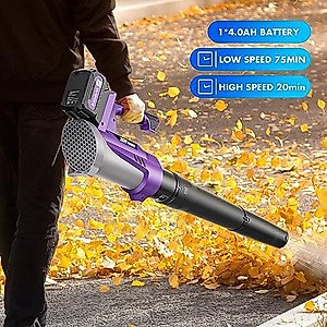 VANPORE Electric Leaf Blower Cordless：580 CFM 6-Gear Wind Speed Regulation with 4.0Ah Battery Powered，Electric Blower for Lawn Care, Yard, Grass, Patio, Blowing Leaves and Snow