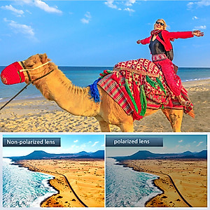 Fabbay 28 Pairs Polarized Sunglasses Bulk for Men and Women Sun Glasses with UV Protection Sport Sunglasses for Outdoor Activities for Running Fishing Biking Cycling Driving