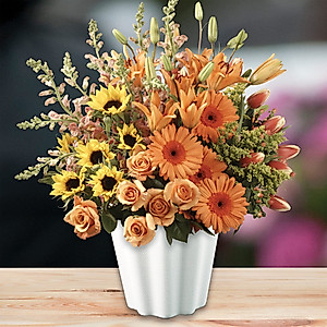 FloraCraft Floral Design Container 5.4 Inch x 5.9 Inch x 5.9 Inch White