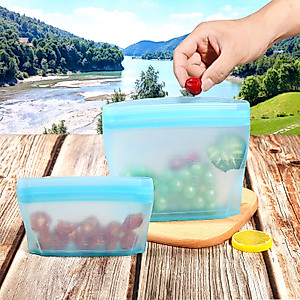Reusable food container silicone bag, 2 Pcs Zip Sandwich Bags, 100% Platinum Silicone Reusable Snack bag, Stand Up Preservation Bag, Convenient to carry and easy to clean. (2 Bag Set Blue)