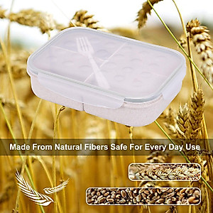 LAIDIAN Bento Box Kids Lunch Box 3 Compartment Bento Box for Adults with Fork Leak-Proof Durable Containers for On-the-Go Meal Food-Safe Materials (Green)