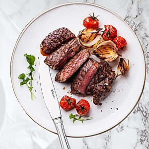 HISSF Dinner knife 4 Pieces Stainless Steel Butter Knife Set, Silver