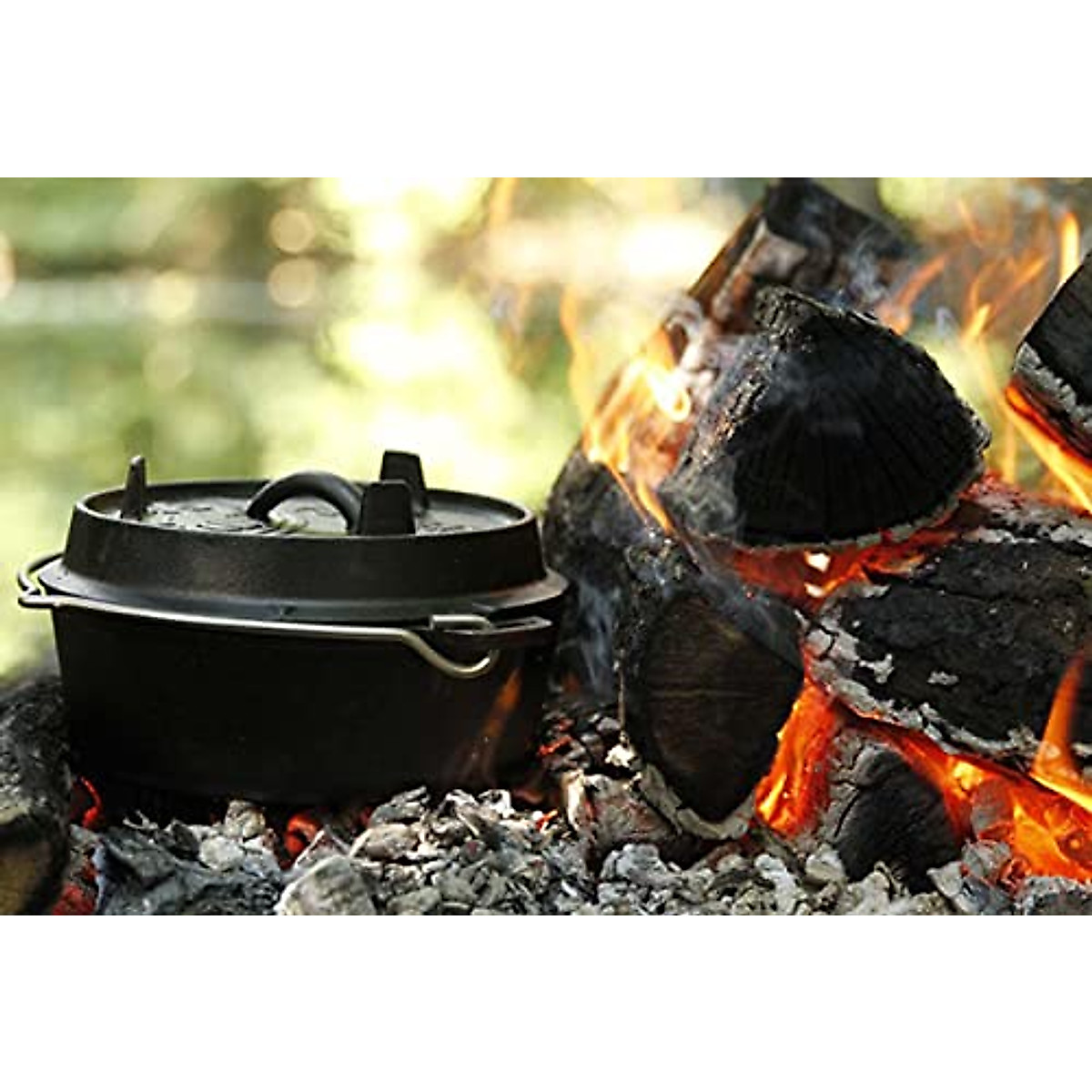 Petromax 12736 Dutch Oven ft1t (1.04 L), Authentic Japanese Product