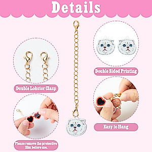 BOpusail 16Pcs TS Singer Acrylic Charm Accessories for Stanley Cups 20 30 40 oz Guitar Butterfly Heart Sunglasses Cat Shape Identification Charms Water Bottle Handle Charm for Simple Modern Tumbler