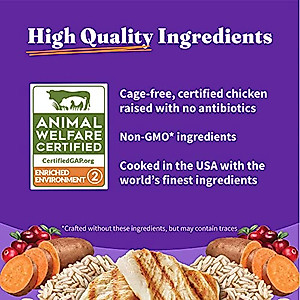 Halo Holistic Cat Food Dry, Cage-free Chicken Recipe, Complete Digestive Health, Dry Cat Food Bag, Adult Formula, 6-lb Bag