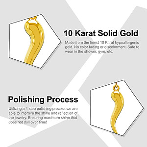 CA CHARMAMERICA Gold Italian Horn Charm - 10 Karat Solid Gold - Dangle Charm - Cornicello Charm Pendant (Small)