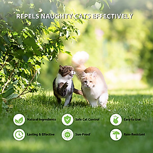 MAGIC CAT Cat Repellent Outdoor, 12 Pack Peppermint Oil Cat Deterrent Indoor for Home to Protect Furniture Curtain Pet Family Safe, Dog Repellent to Keep Feral Cats Stray Dogs Out of Yard Garden Lawn