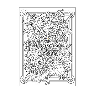 Hummingbird Coloring Book: An Adult Coloring Book Featuring Charming Hummingbirds, Beautiful Flowers and Nature Patterns for Stress Relief and Relaxation
