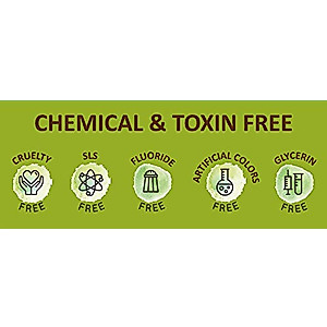 Bentodent Natural Toothpaste for Family Including Kids (Premium Mint)