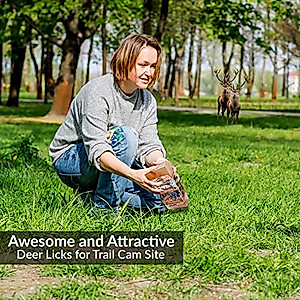 Himalayan Nature Licking Salt for Deer - 2 Pack