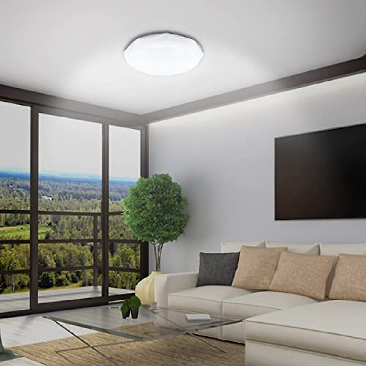 Jorunhe LED Ceiling Light, Upgraded Modern Close to Ceiling Lamp Fixture for Bedroom,Living Room,Kitchen,Dining Room (24W White)