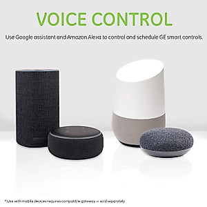 Enbrighten Z-Wave Plus Smart Outdoor Switch, 1-Outlet Plug-In (2nd Gen.), Weather-Resistant, Works with Alexa, Google Assistant, for Landscape & Seasonal Lighting, ZWave Hub Required, 14298,Black