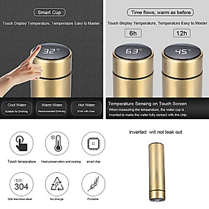 Temperature Display Vacuum Insulated Water Bottle 17oz,Thermo Flask Made of Premium Stainless Steel Coffee/ Water, Smart Cup, Novelty Gifts Mug, FDA Safety.