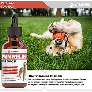 Natural Pain Relief for Dogs | Dog Pain Relief | May Help with Joint, Hip, Heart Health & Much More | Pain Relief for Dogs for Older Dogs | Dog Supplements & Vitamins | Dog Joint Pain Relief | 1 fl oz
