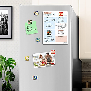 MORCART 30 Pcs Magnets for Fridge – Decorative Magnets for Refrigerator – Cute Locker Magnets,Adult Office and Kitchen Fridge Magnets,School Whiteboard Blackboard Magnets Stamping Flowers Art Gift