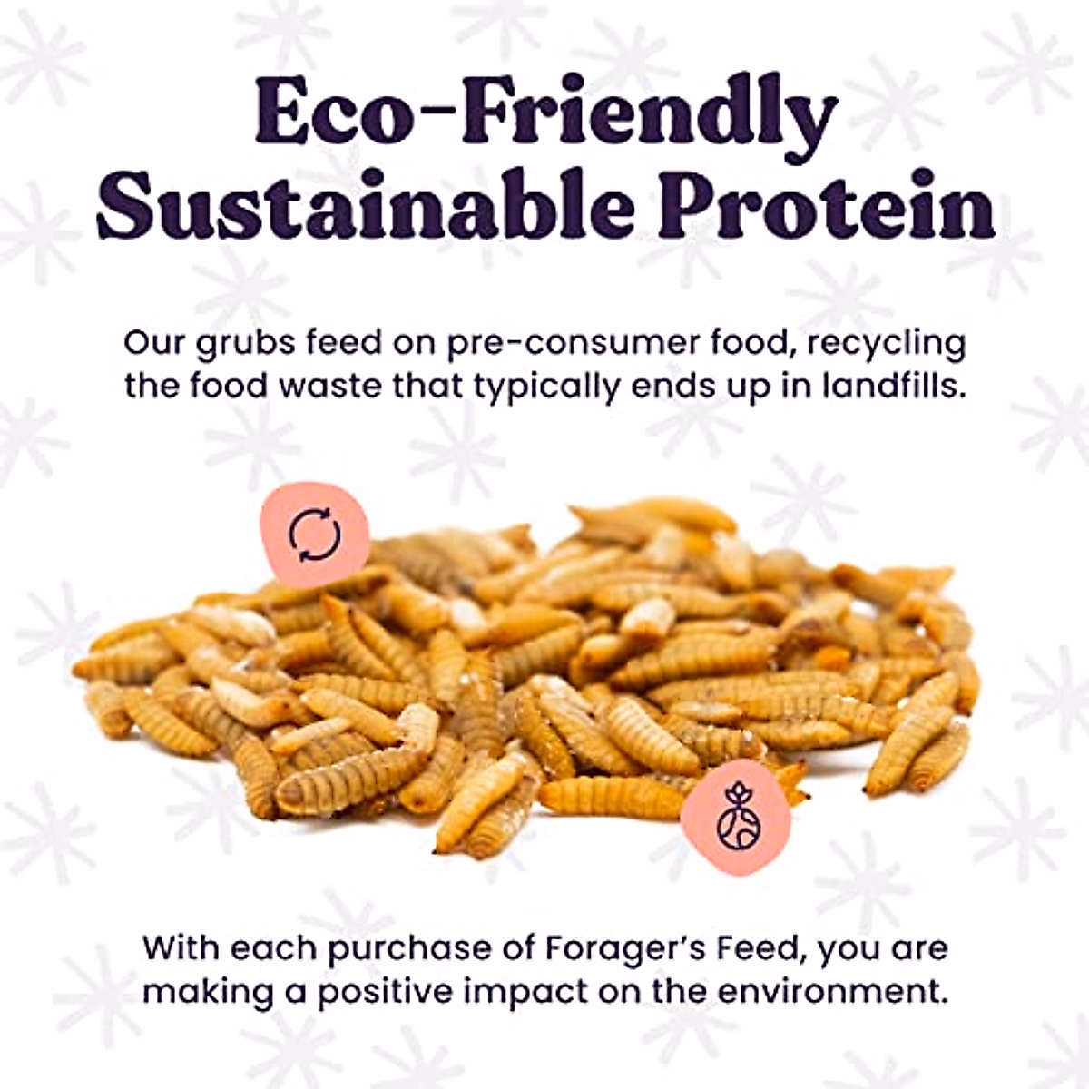 Foragers Feed Whole Dried Black Soldier Fly Larvae, Sustainable Chicken and Livestock Feed for Animal Health, 1 Lb Resealable Bag