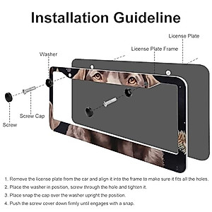 2 Pack Santa Dog Labrador License Plate Cover Xmas Lovely Dogs License Plate Cover License Plate Novelty License Plate Frame Stainless Aluminum 2 Round Holes for Girl Women Men Vehicles