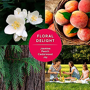 PINALEN Max Aromas Floral Delight Multipurpose Cleaner, Kitchen, Floor, Bathroom and Surface Cleaning Product for Home 56 fl.oz.