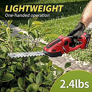 Dragro Cordless Grass Shears, 2 in 1 Electric Mini Hedge Trimmer Cordless, Handheld Grass Hedge Cutter Clippers, Battery Operated Weed Hedge Trimmer with 2Pcs 24V 2.0Ah Batteries and Charger Included