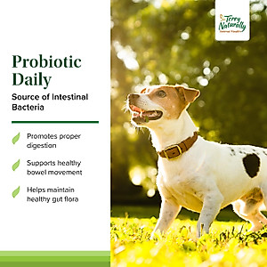 Terry Naturally Animal Health Probiotic Daily - 60 Chewable Tablets - Probiotics for Dogs, Beneficial Intestinal Bacteria to Maintain Healthy Gut Flora & Digestion - Canine Only - 60 Servings