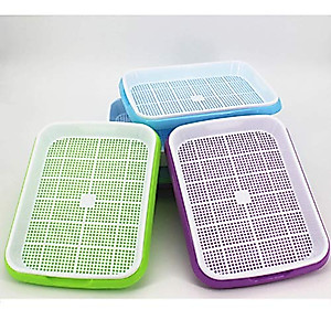 Happyyami Seed Growing Tray Multifunctional Broccoli Wheatgrass Alfalfa Seed Sprouting Soilless Culture Tray Double Layer Germination Planter with Paper for Home Sky Blue