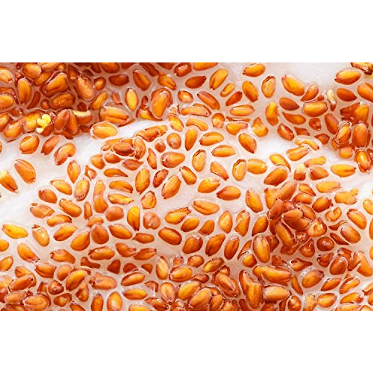 Hemani 100% Pure Garden Cress Seeds - Lepidium sativum - Halim Aliv - Rashad Seed - 200g (7oz) - ???? ??????
