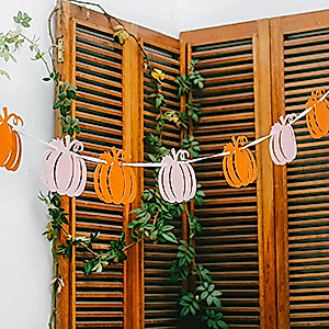 Pumpkin Happy Birthday Banner Party, Pumpkin Patch Pink and Orange Garland for Girls or Kids, Little Pumpkin Theme Decorations Baby Thanksgiving Fall Party, Autumn Halloween Party Supplies Decoration