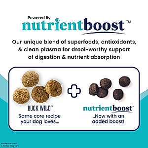 Solid Gold Dry Dog Food for Adult & Senior Dogs - Made w/Real Venison, Potato, & Pumpkin - Nutrientboost Buck Wild Sensitive Stomach Dog Food for Protein Sensitivities & Gut Health - 22 LB