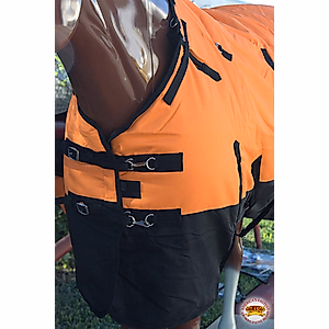 Orange 75 in HILASON 600D Winter Waterproof Poly Horse Blanket Belly Wrap | Horse Sheet | Horse Turnout Sheet | Horse Sheets for Winter | Waterproof Turnout Sheets for Horses
