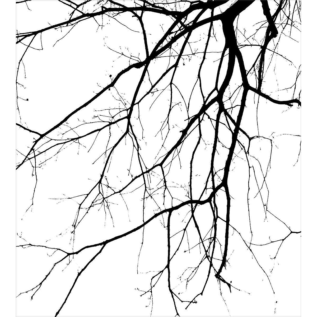 Ambesonne Black and White Duvet Cover Set, Macro Leafless Winter Tree Branches Idyllic Twigs of Oak Nature Print, Decorative 3 Piece Bedding Set with 2 Pillow Shams, King Size, Black and White