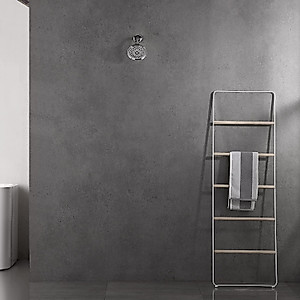 Rainovo 6 Spray Settings High Pressure Shower Head 5" Rain Fixed Showerhead - Brushed Nickel Adjustable Shower Head with Anti-Clogging Nozzles, Low Flow Easily Installation (RN-AU055003BN)