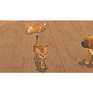 My Universe: Puppies and Kittens Nintendo Switch