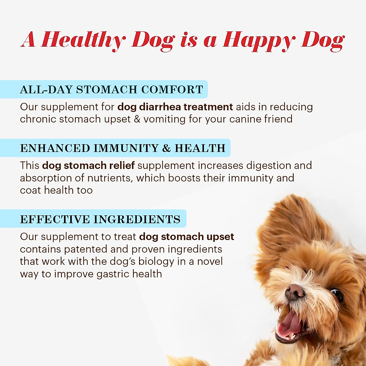 Vitalize Alimend K9 - Dog Upset Stomach Relief for Nausea, Vomiting & Diarrhea - 6 Oz