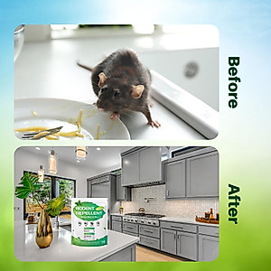 NatShield Rodent Repellent (Pack of 10), Strength Natural Mice Repellent Pouches, Botanical Pest Control Indoor, Cinnamon/Peppermint Oil to Repel Mice and Rats in Shed/Attic/Cabin/RV/Boat/Garage