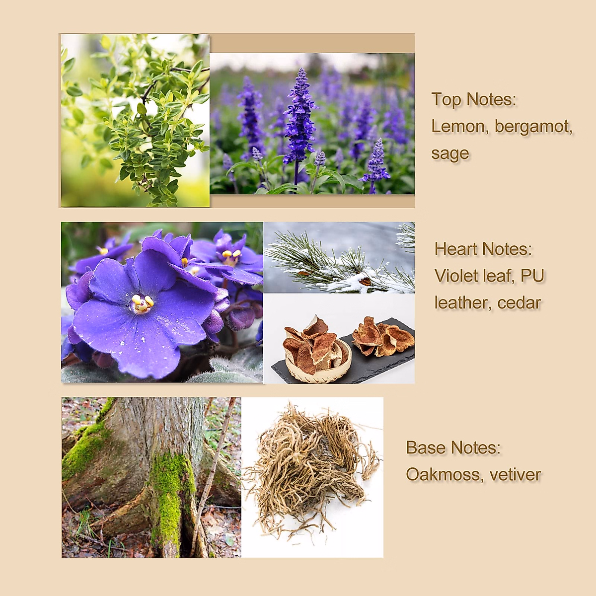 LUCKDANO 50ml Eau De Toilette for Men Woody Fragrance Perfume Romantic Aromatic Light Cologne with Captivating Scent Lemon Violet Leaf Oakmoss Ideal Gift