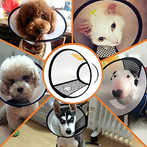 Bepets Cat Cone Collar, Pet Cone Cat Recovery Cone for Kitten Cone After Surgery Anti-Bite Lick Wound Medical, Protective Cat Head Cone Kitten Cone Collar Cat E Collar for Cats Kitty Rabbit (Small 6#)