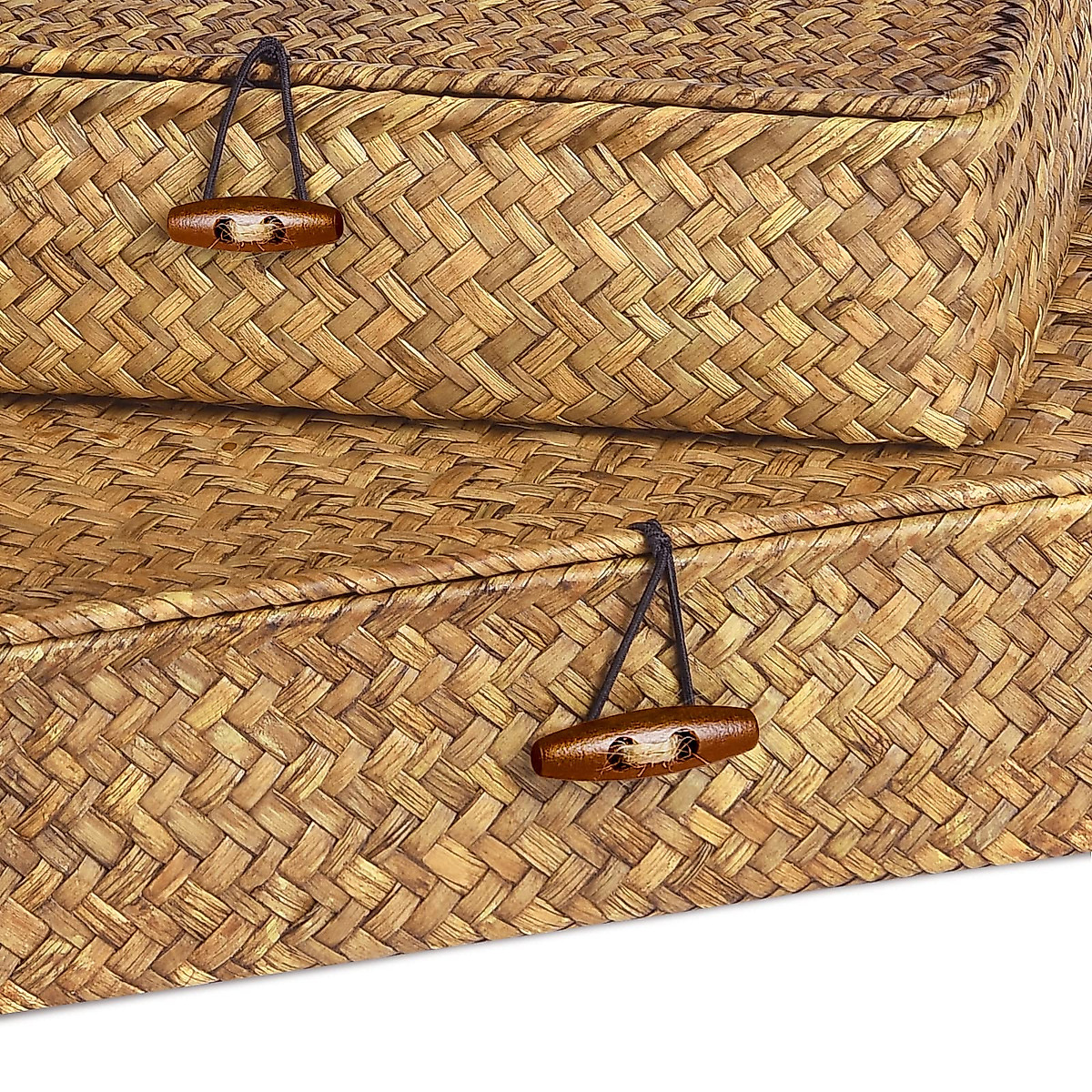 FOSSORH Set of 2 Flat Seagrass Storage Bins with Lid Wicker Storage Baskets for Organizing, Woven Shelf Organizer Bins Home Utility Organizer Box for Home & Office Supplies (Caramel)