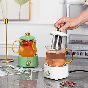 Morantica Hot Tea Maker Electric Glass Kettle with temperature control Automatic Shut off Brewing Programs for your favorite teas and Coffee (white)