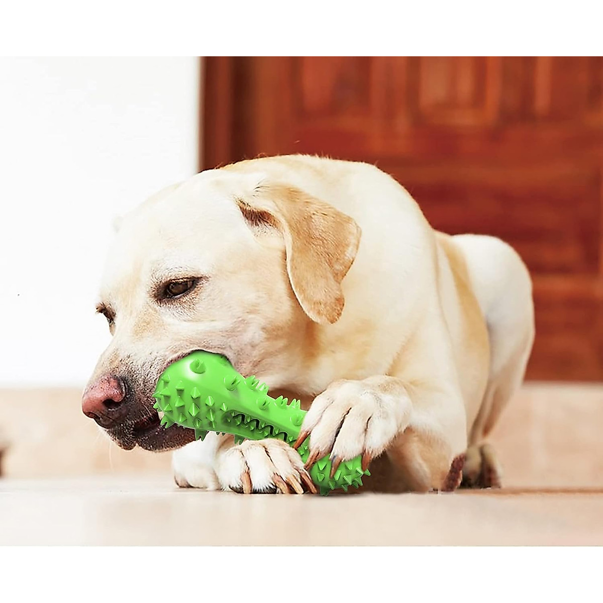 wanijaning Dog Toy, Toothbrush Dogs Chew Squeaky Toys, Durable Bones for Aggressive Chewers, Dental Oral Care for Small, Medium and Large Dogs - Green