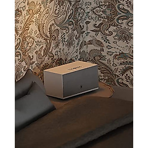 Audio Pro Addon C10 MKII Wireless Speaker | High Fidelity, Multi-Room Bluetooth Speaker for Outdoor, Home, Camping, Travel, Beach | Chromecast Built-in, Airplay 2, Spotify Connect Compatible | White