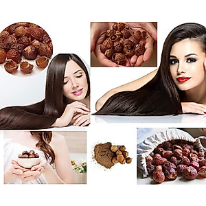 AnNafi® Reetha | Organic Soap Nuts | Aritha/Areetha/Kunkudukaialu | Sapindus used for making Reetha Powder, Ritha Shampoo, Oil | Natural Hair Care & Growth | Organic Laundry Detergent (100grams)