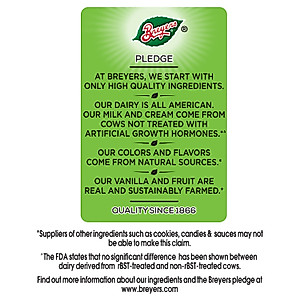 Breyers, Vanilla All Natural Ice Cream, Pint (8 Count)