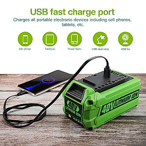 6.5Ah 40V 29472 29462 Replacement for Greenworks 40V Battery and Charger 29482, for GreenWorks 29472 29462 for GreenWorks 40V G-MAX Tools 29252 20202 22262, with 40V Grennworks Charger
