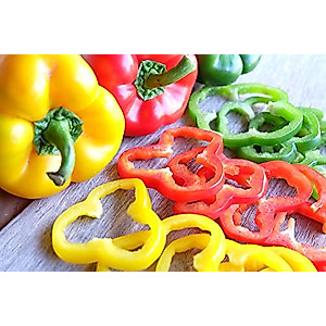 Rainbow Blend Sweet Bell Pepper Seeds, 50+ Heirloom Seeds Per Packet, (Isla's Garden Seeds), Non GMO Seeds
