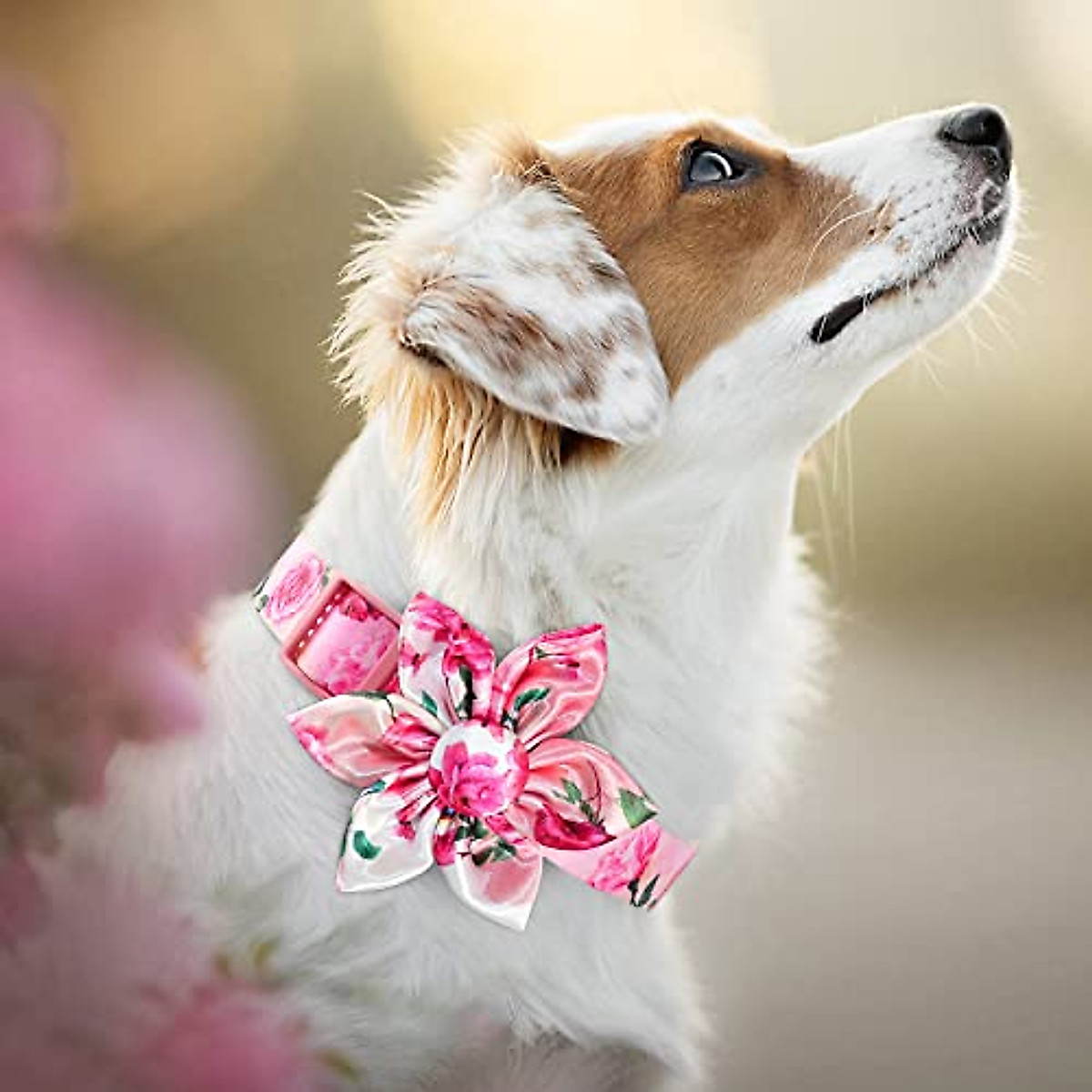 Pink Dog Collar Floral Girl Dog Collar with Rose Flower Bow Tie Dog Collar for Cute Girl Female Cats Dogs Spring Summer Season Dog Collar for Puppy Small Medium Large Dogs Best Gift for Your Furbaby