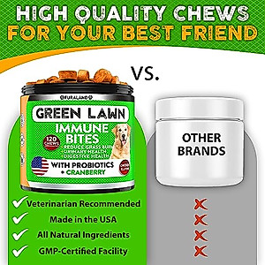 FURALAND Grass Burn Spot Chews for Dogs - Dog Pee Lawn Spot Saver Caused by Dog Urine - Grass Treatment Rocks - DL-Methionine + Digestive Enzymes - Dog Urine Neutralizer for Lawn - Soft Treats